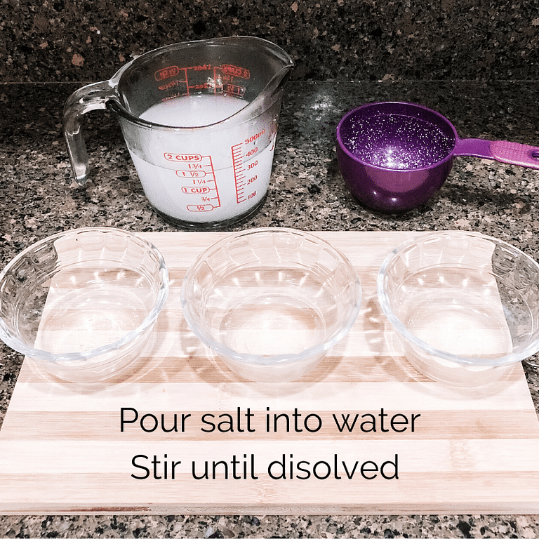 Epsom Salt Painting – beyond the playroom – Sceince and Art for Kids